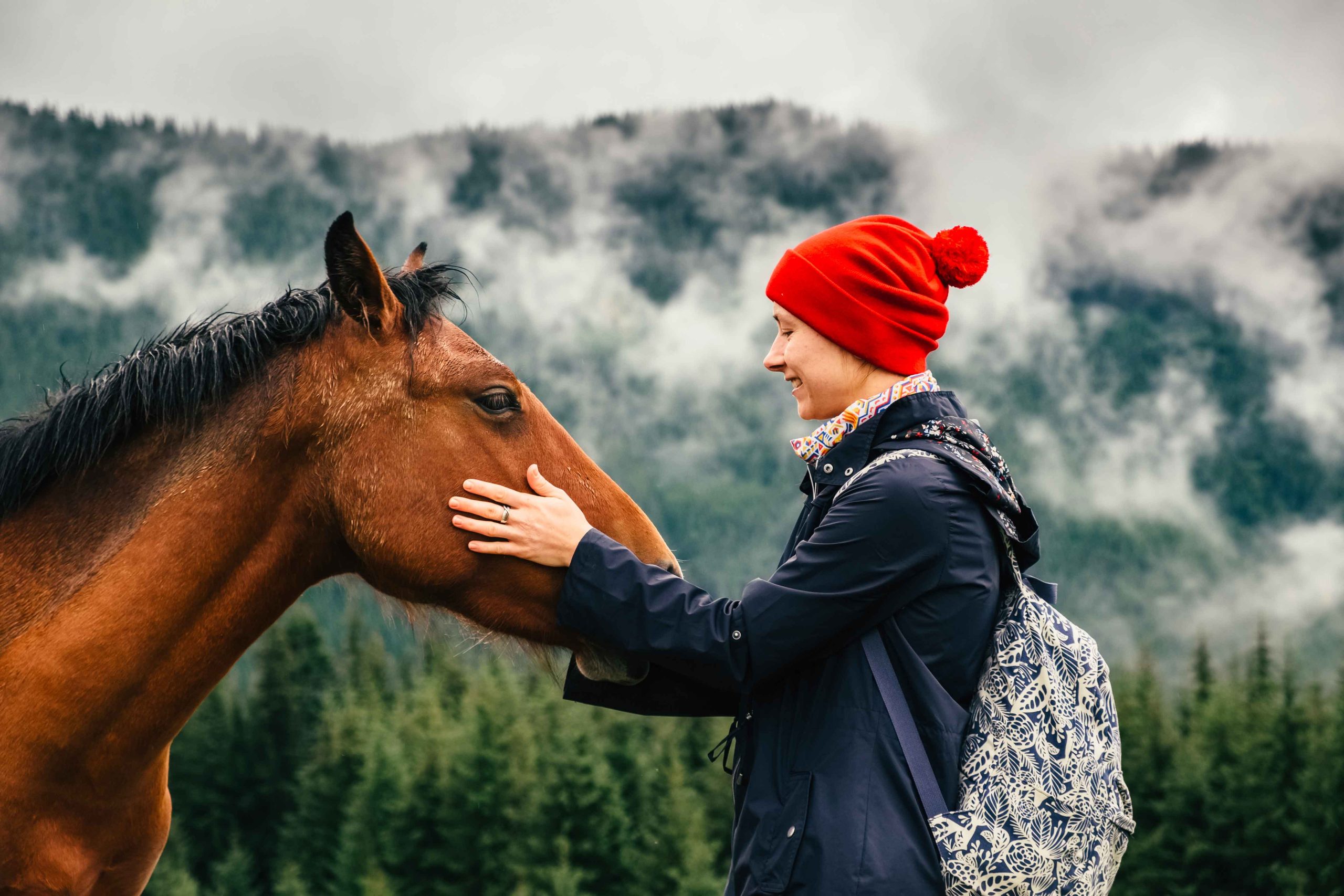 Viaggio a cavallo di 10 giorni: il giro di Venere e Marte - Ippovia ...